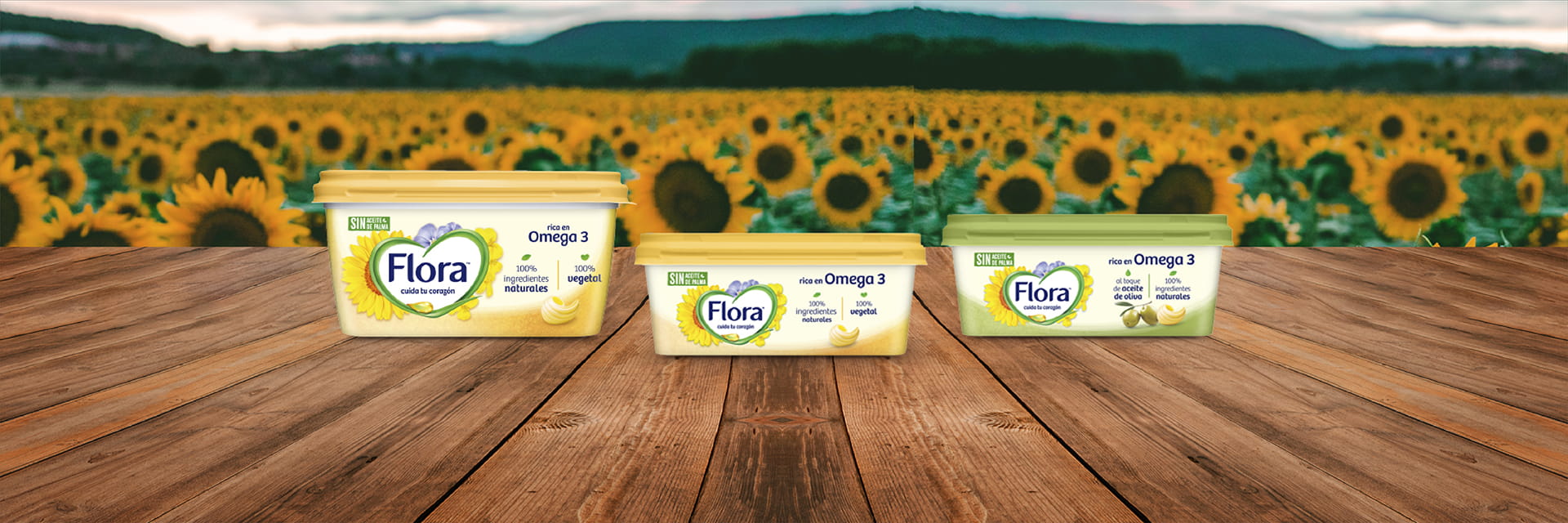 Logotipo De Campos De Margarina La Famosa Marca De Margarina Rama En